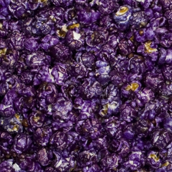 Curt's Gourmet Popcorn